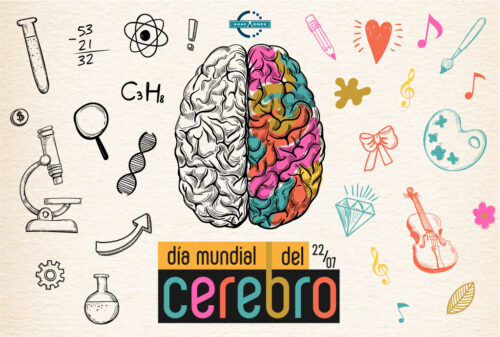 Día Mundial del Cerebro | ANAFARMEX
